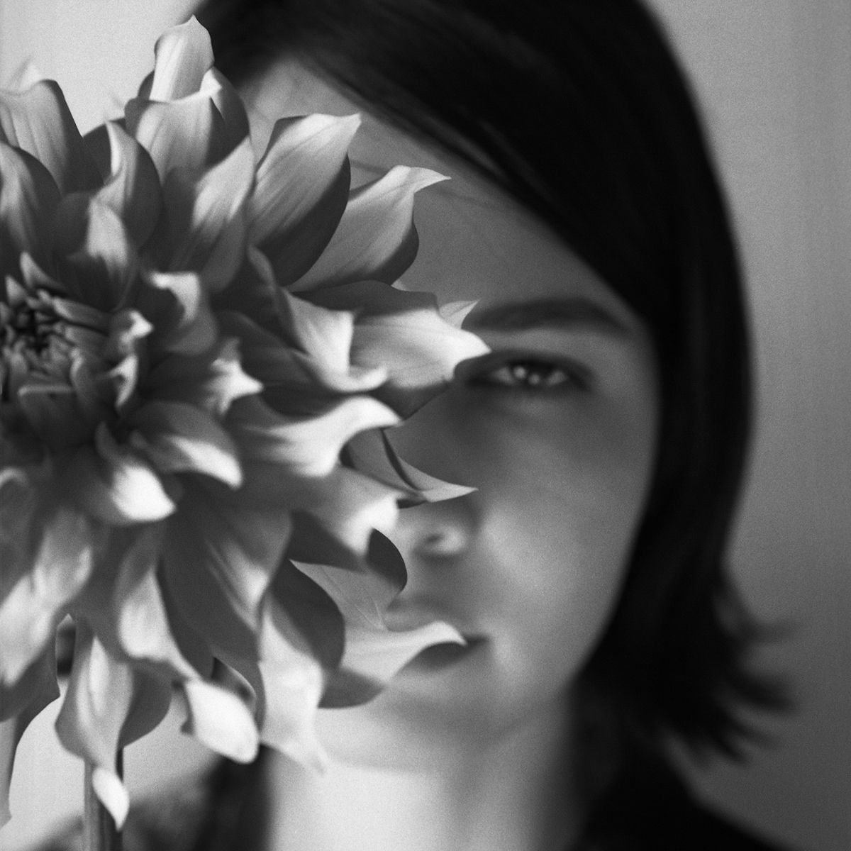 SHINYA KATO | PORTFOLIO